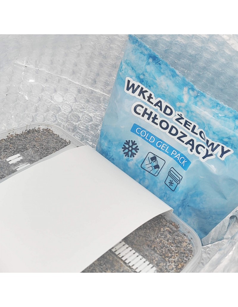 Dodatkowe pakowanie termiczne